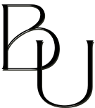 BU Vision | Handcrafted Luxury Bags from Turkey